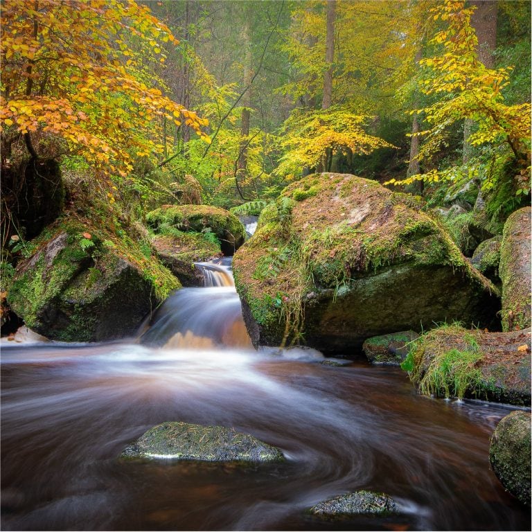 Fresh Pulp - Buxton Brewery