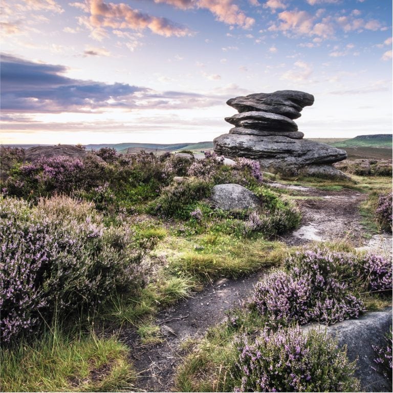 Fresh Pulp - Buxton Brewery